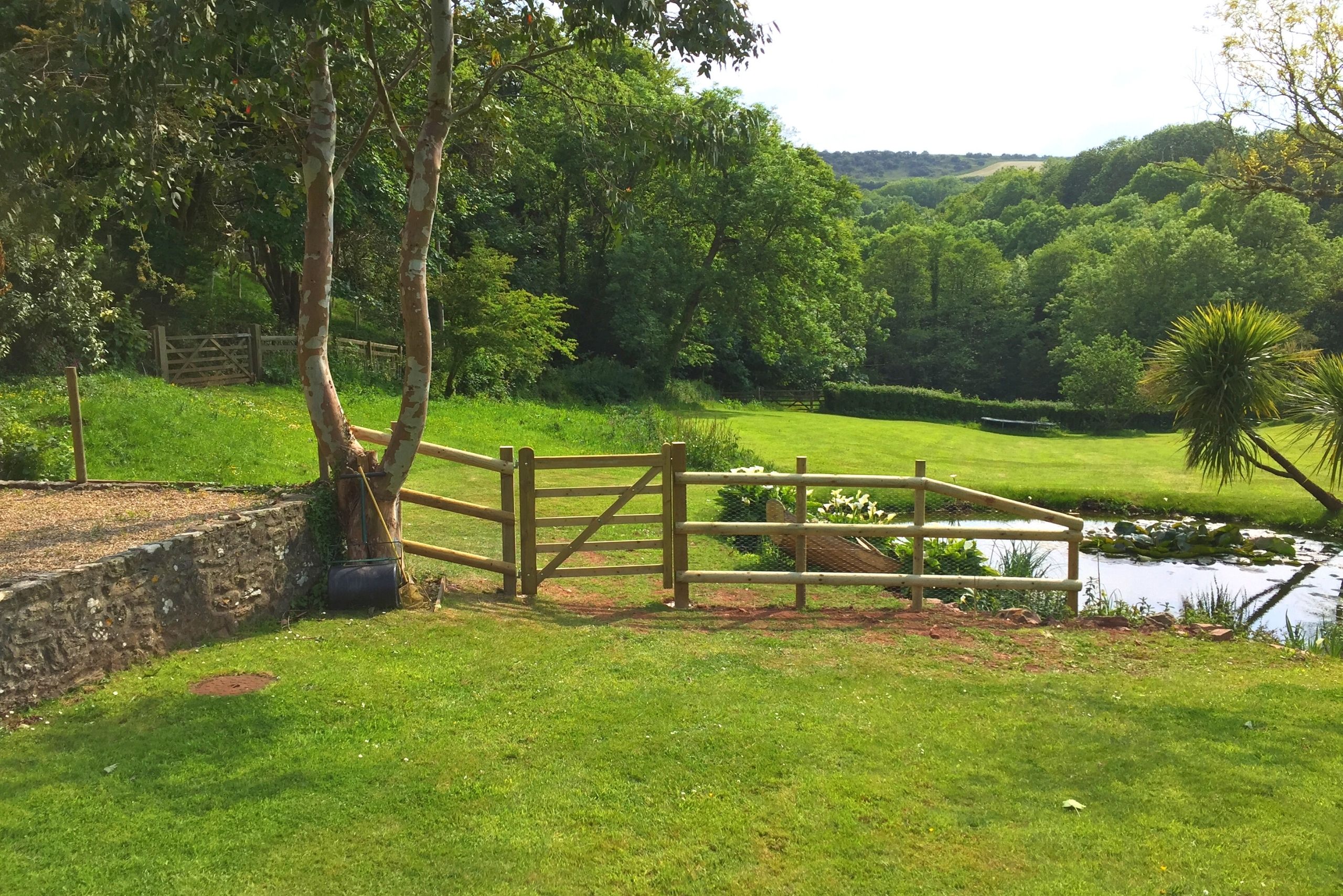 Gallery - Harbour Trees